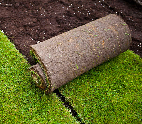 Gazon ( plantare / montaj ) – RulouriGazon